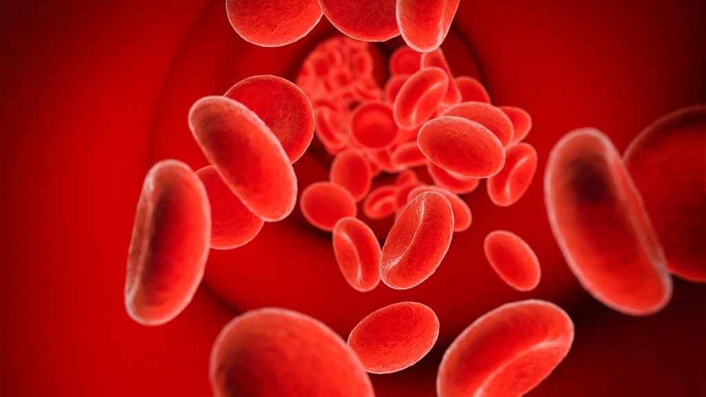 Velocidad de Sedimentación Globular | Lapi Laboratorio Médico